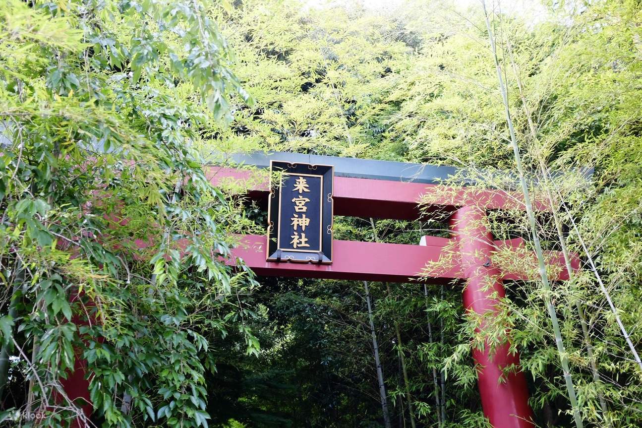 [Summer Limited] Atami Kinomiya Shrine, Izu Omuroyama, Cactus Zoo, and ...
